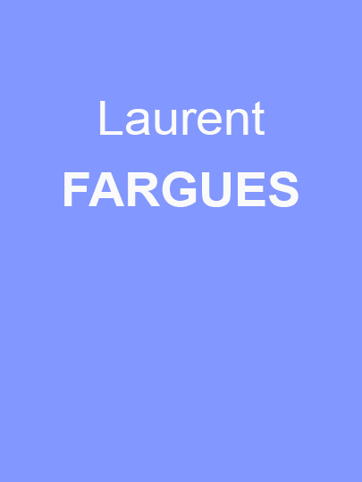 Laurent Fargues | Délégation Paris-Centre